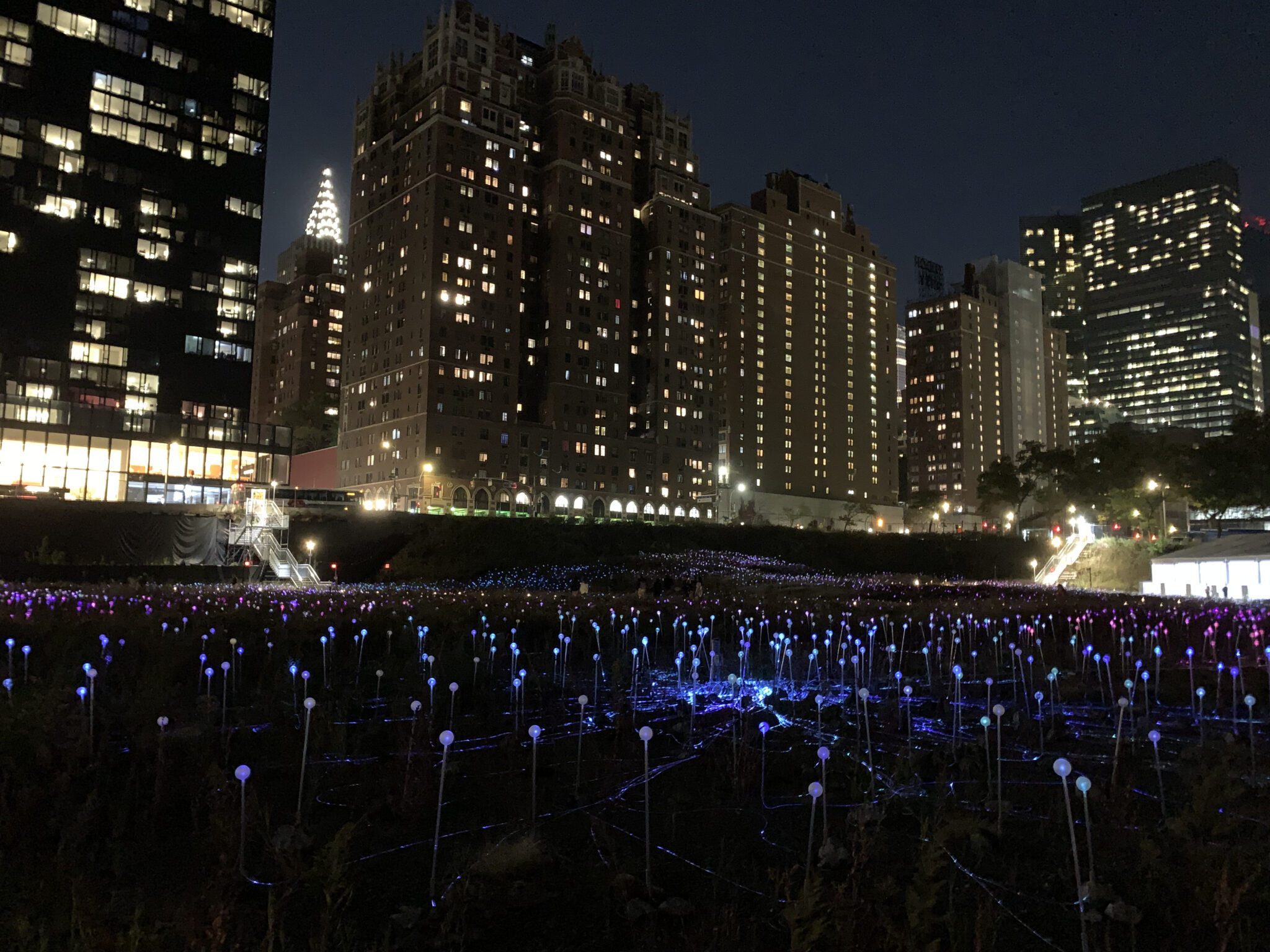 Home - The HOPE Program