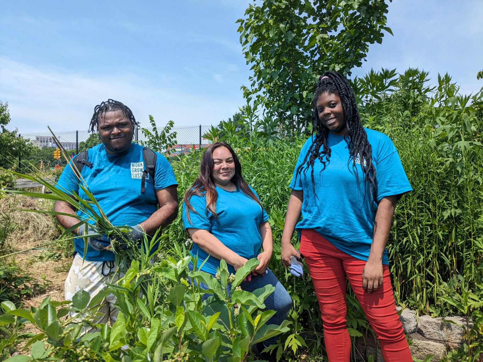 How It Works - The HOPE Program